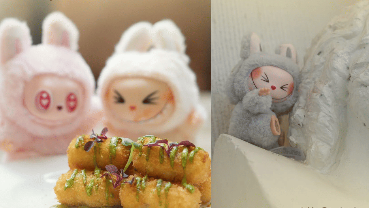 ഒരു പ്ലേറ്റ് ലബൂബു പോരട്ടെ, ഹോട്ടൽ മെനുവിലും ഈ കുഞ്ഞൻ പാവ തന്നെ താരം ...